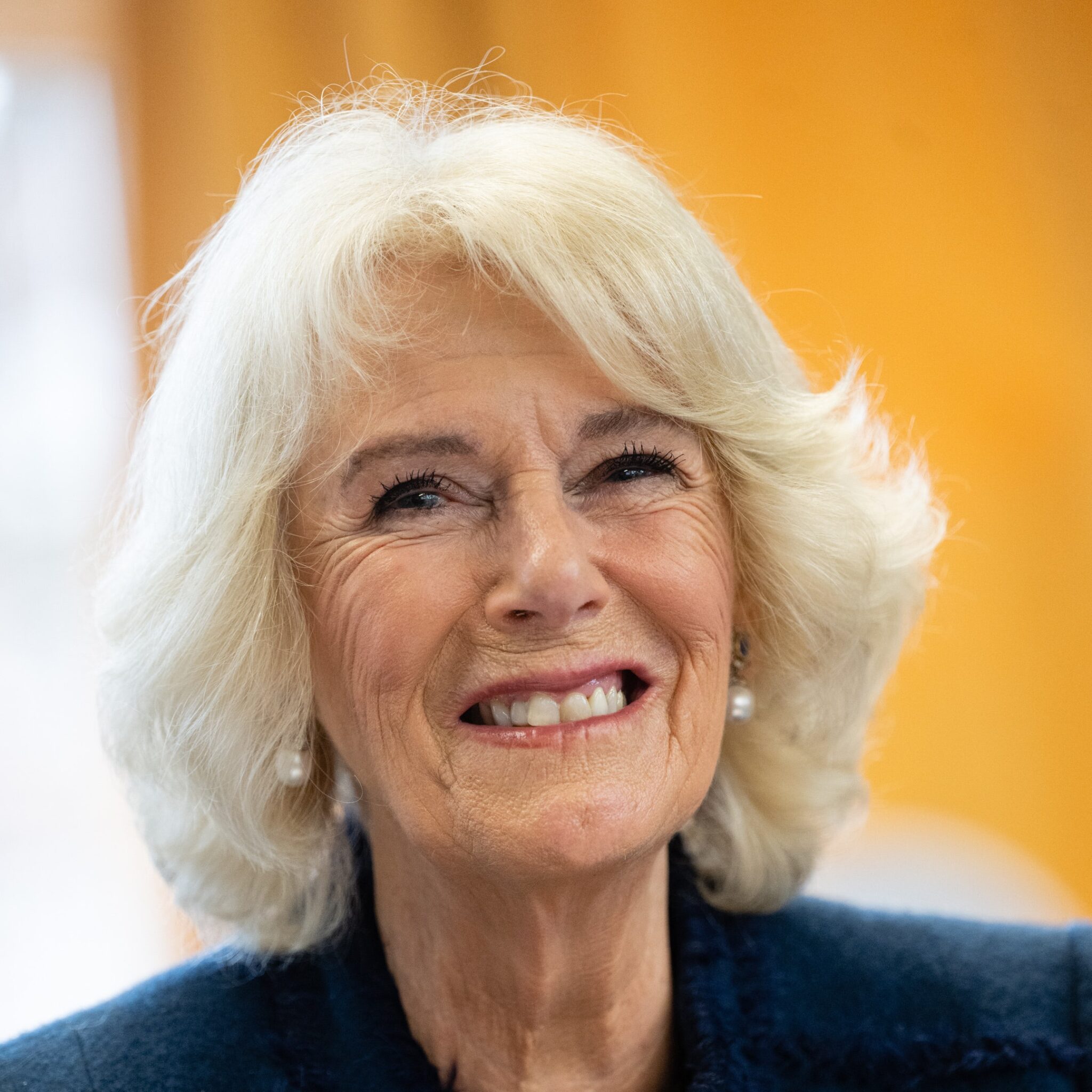 Princess Anne and Queen Consort Camilla’s Relationship Strengthens Over ...