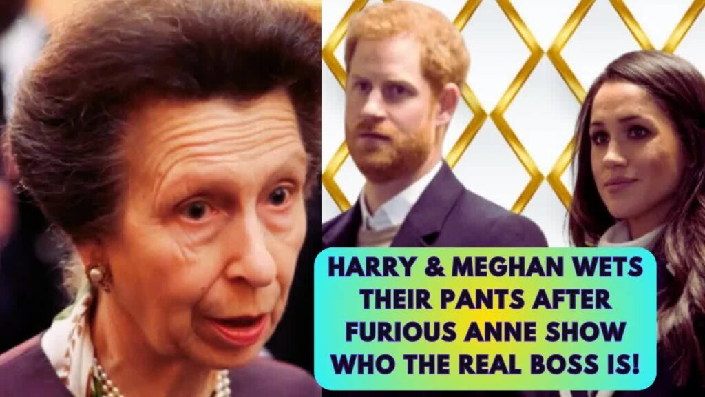 Princess Anne Emerges as Royal Family’s Secret Weapon Against Harry and ...
