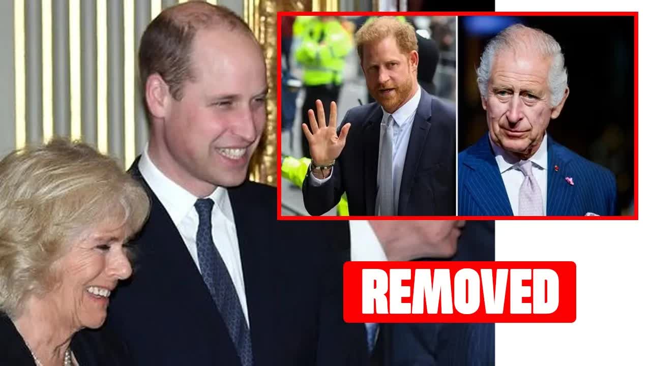 Royal Family Drama Unfolds: Queen Camilla Outraged by Prince Harry’s ...