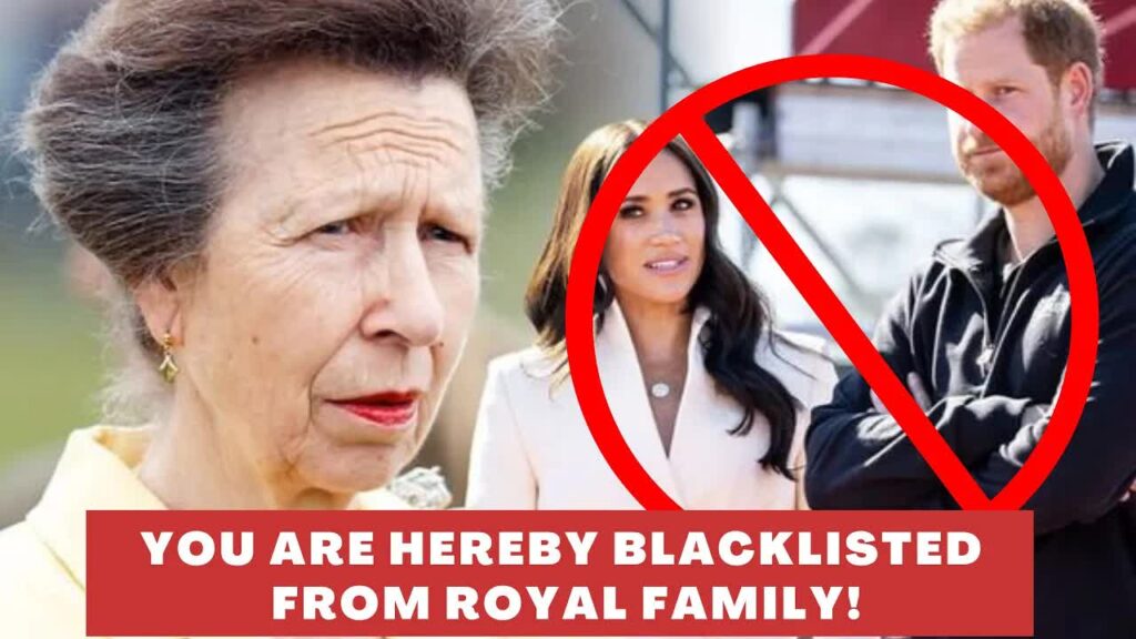 Princess Anne’s Guidance for Prince Harry: A Royal Tale of Struggles ...