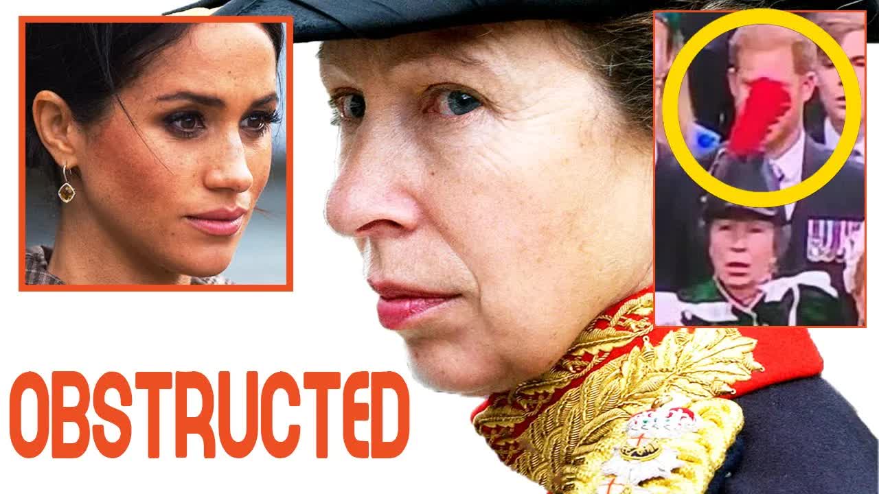 Royal Drama Unfolds: Prince Harry’s View Blocked by Princess Anne’s ...