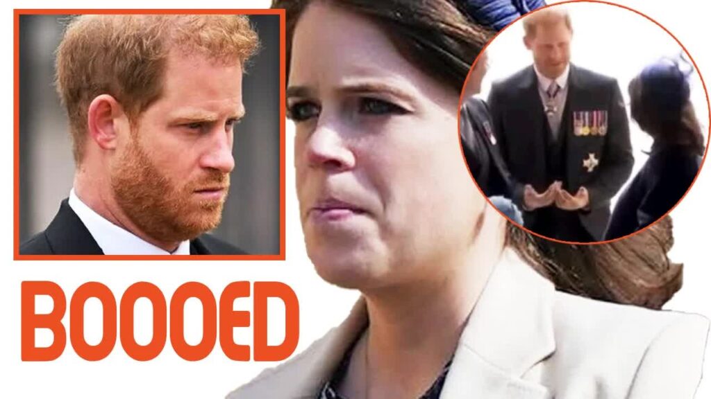 Boos Echo as Prince Harry Faces Public Backlash at King Charles ...