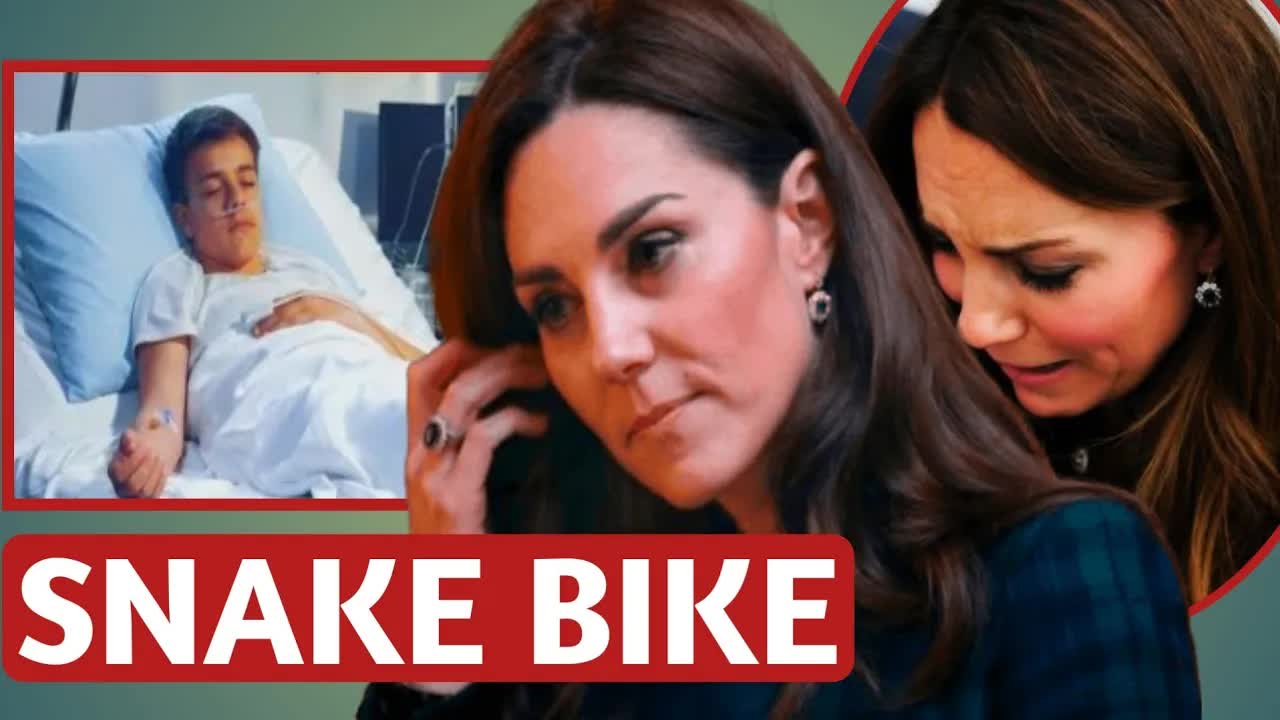 Prince George’s Unusual Favorite Animal Unveiled – History Archive