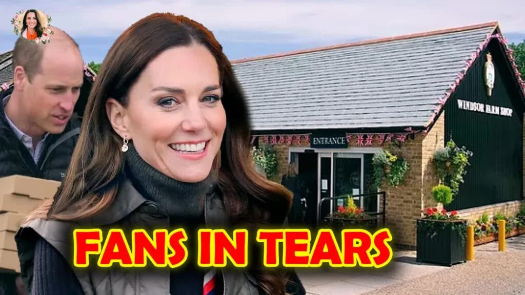 Catherine, Princess of Wales, Spotted Smiling and Shopping – History ...