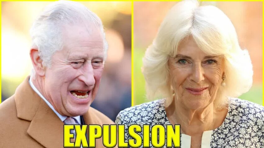 Charles and Camilla: Love Under the Microscope – History Archive